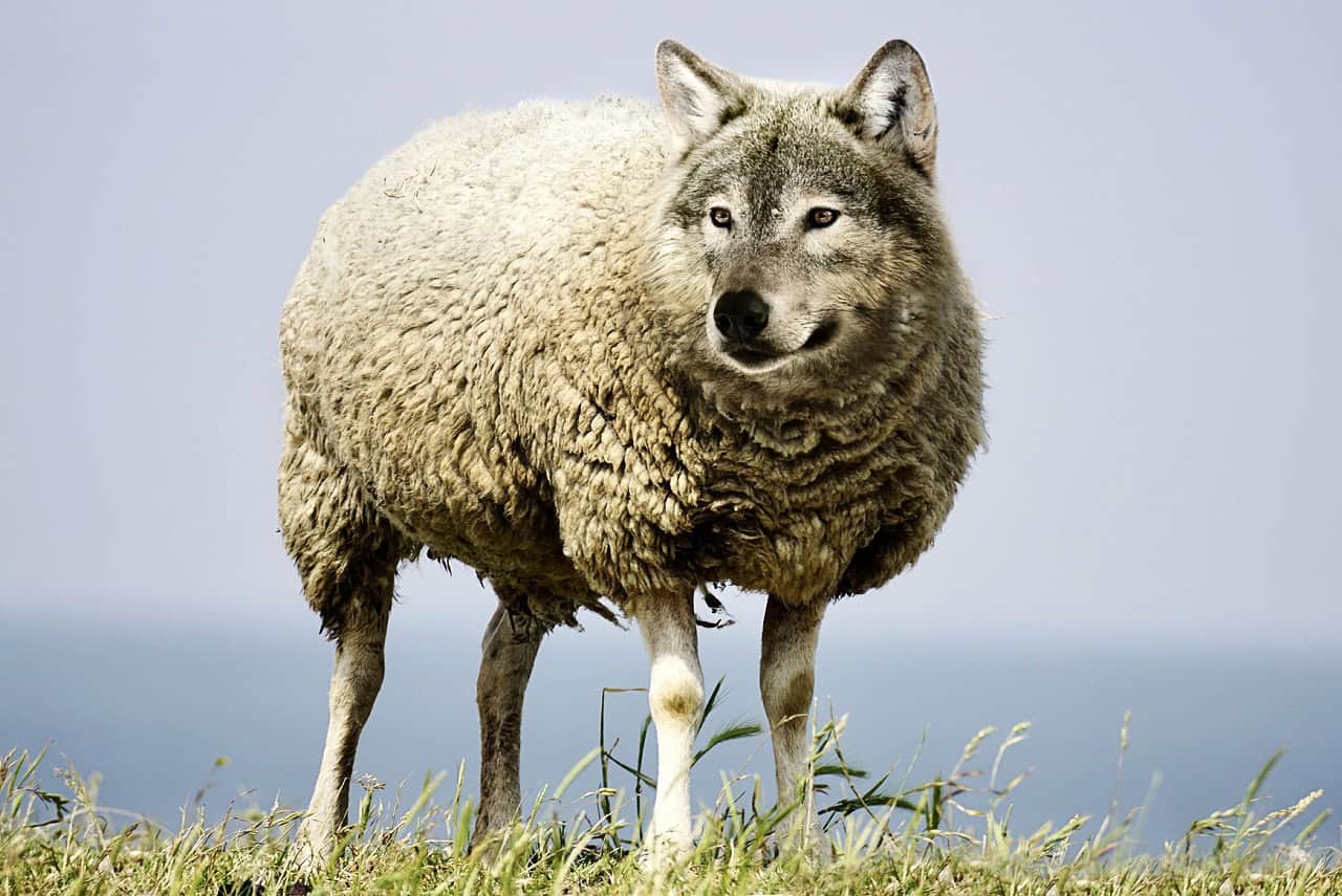 What Does ASAP Mean? Definition, Usage & Examples